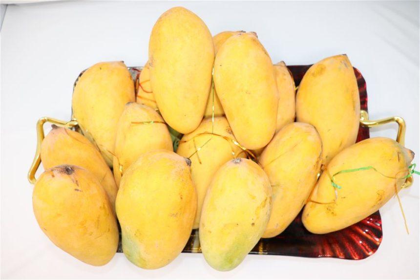PAKISTANI CHAUNSA MANGOES (PAKISTAN) - Can-Asia Grocers Inc.